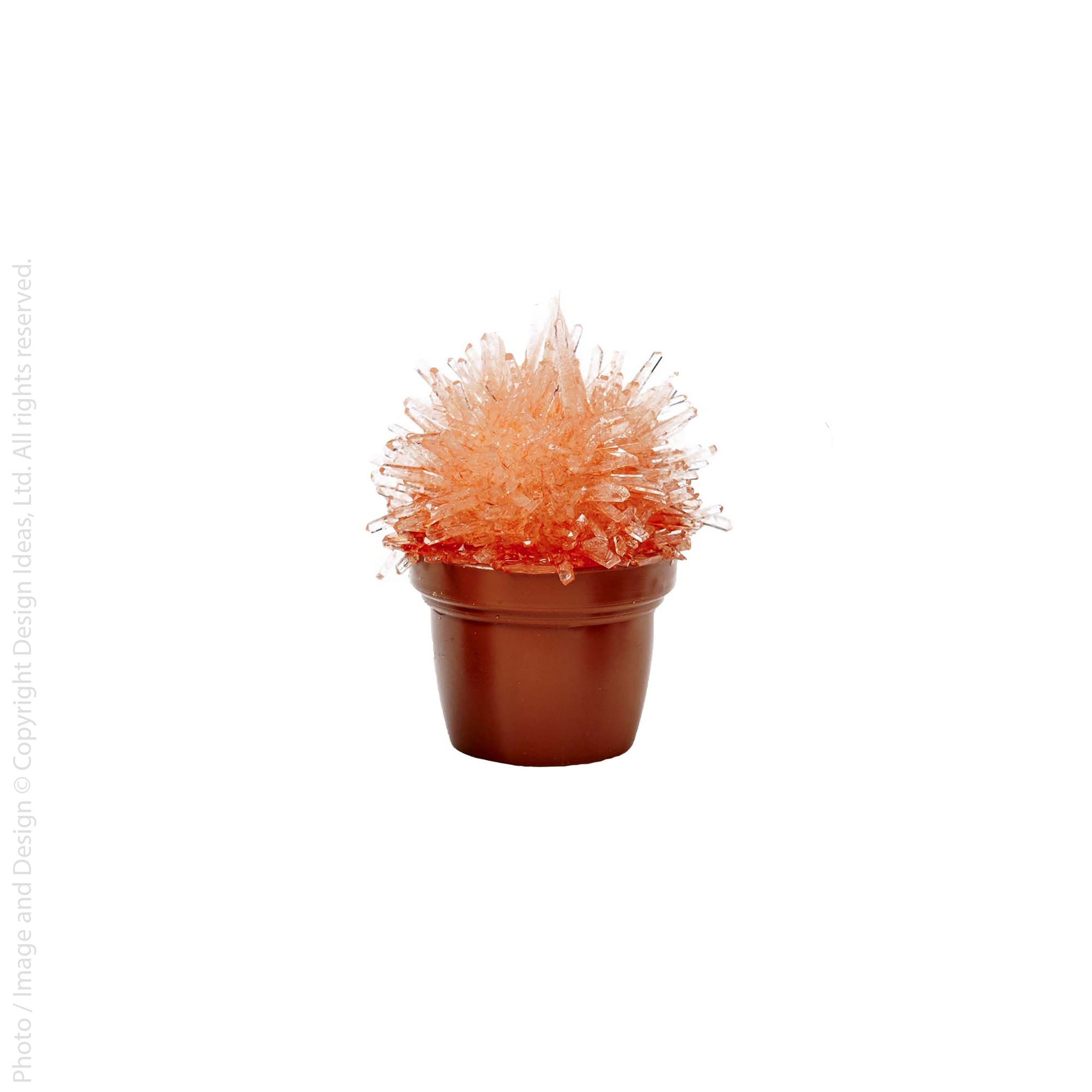 Magic cactus™ Kit – Design Ideas