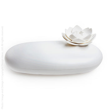 Qualy – Design Ideas